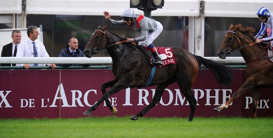 New French flat racing series to launch in 2015 | SportBusiness