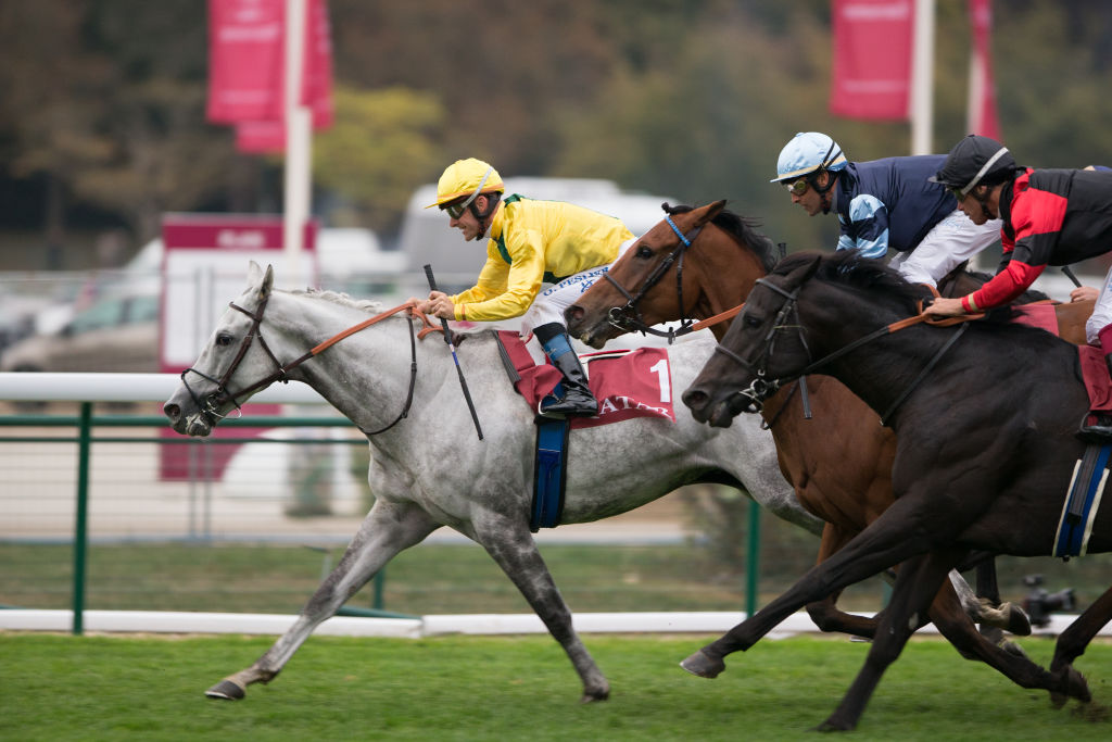 M6 acquires rights to major French horse-racing events | SportBusiness
