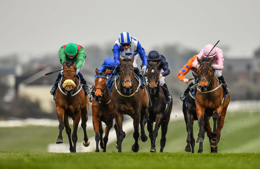 Former RMG chief FitzGerald joins Old Gold Racing as investor and ...