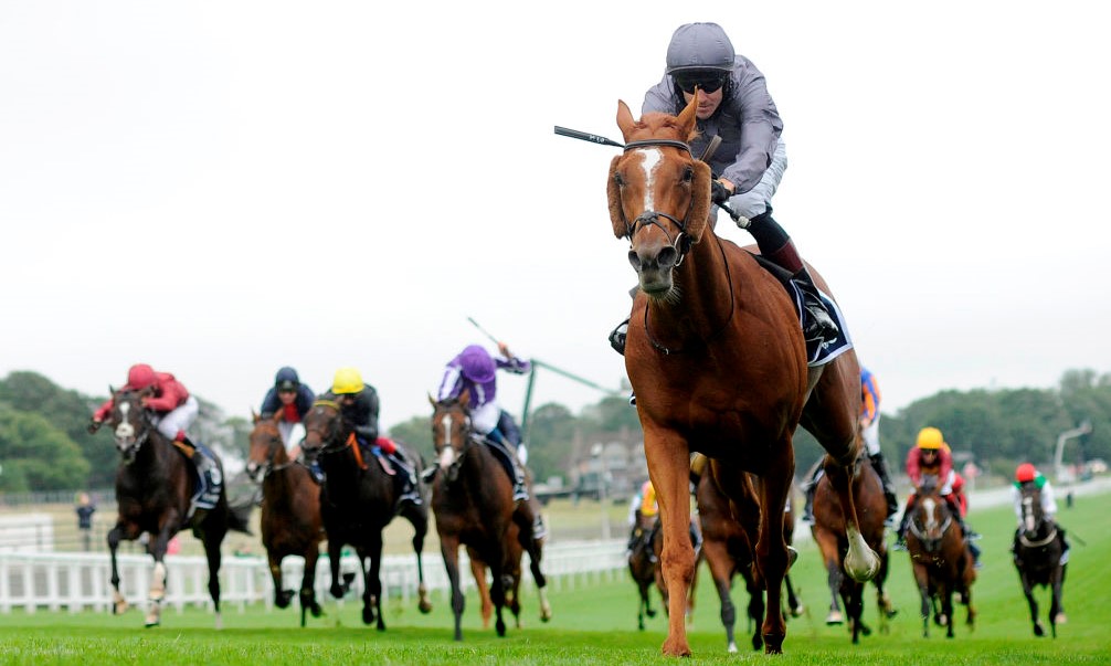 Kentucky Derby adds BMW to sponsorship portfolio | SportBusiness