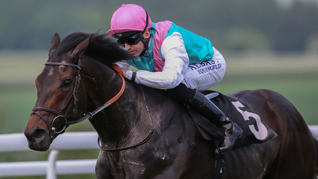 Sector: Sponsorship & Marketing | SportBusiness