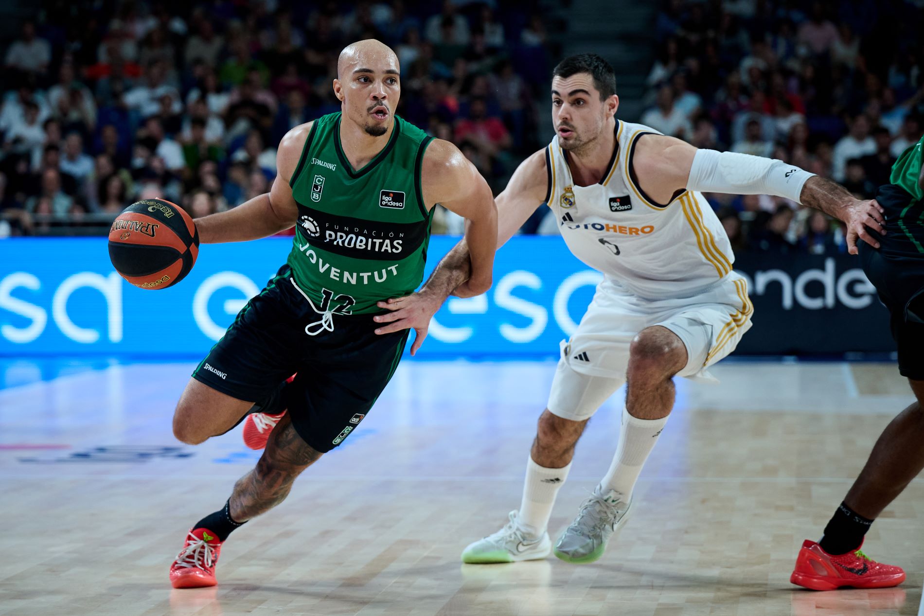 Spanish basket league store