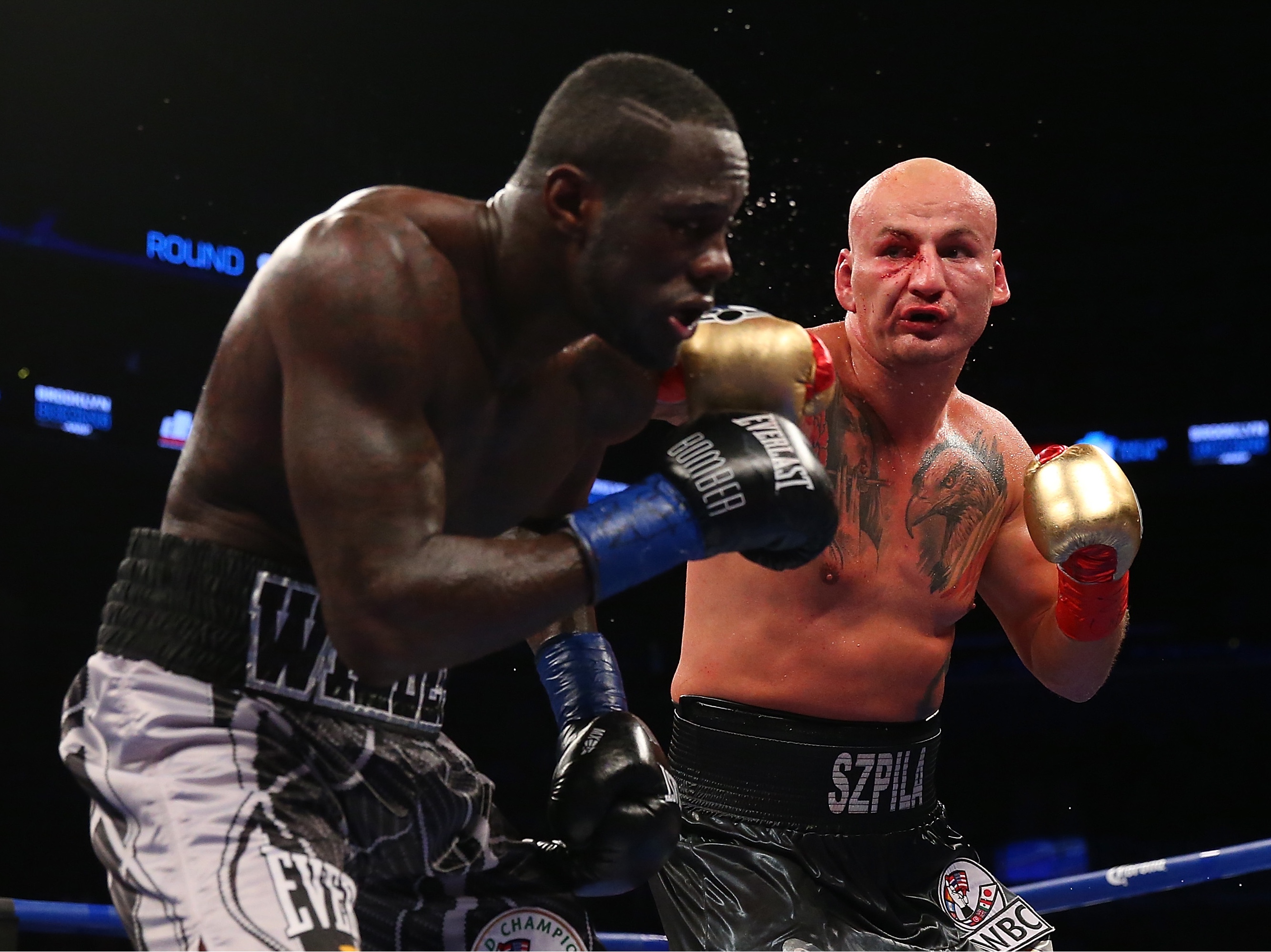 Polsat confirms new channel launch | SportBusiness Media