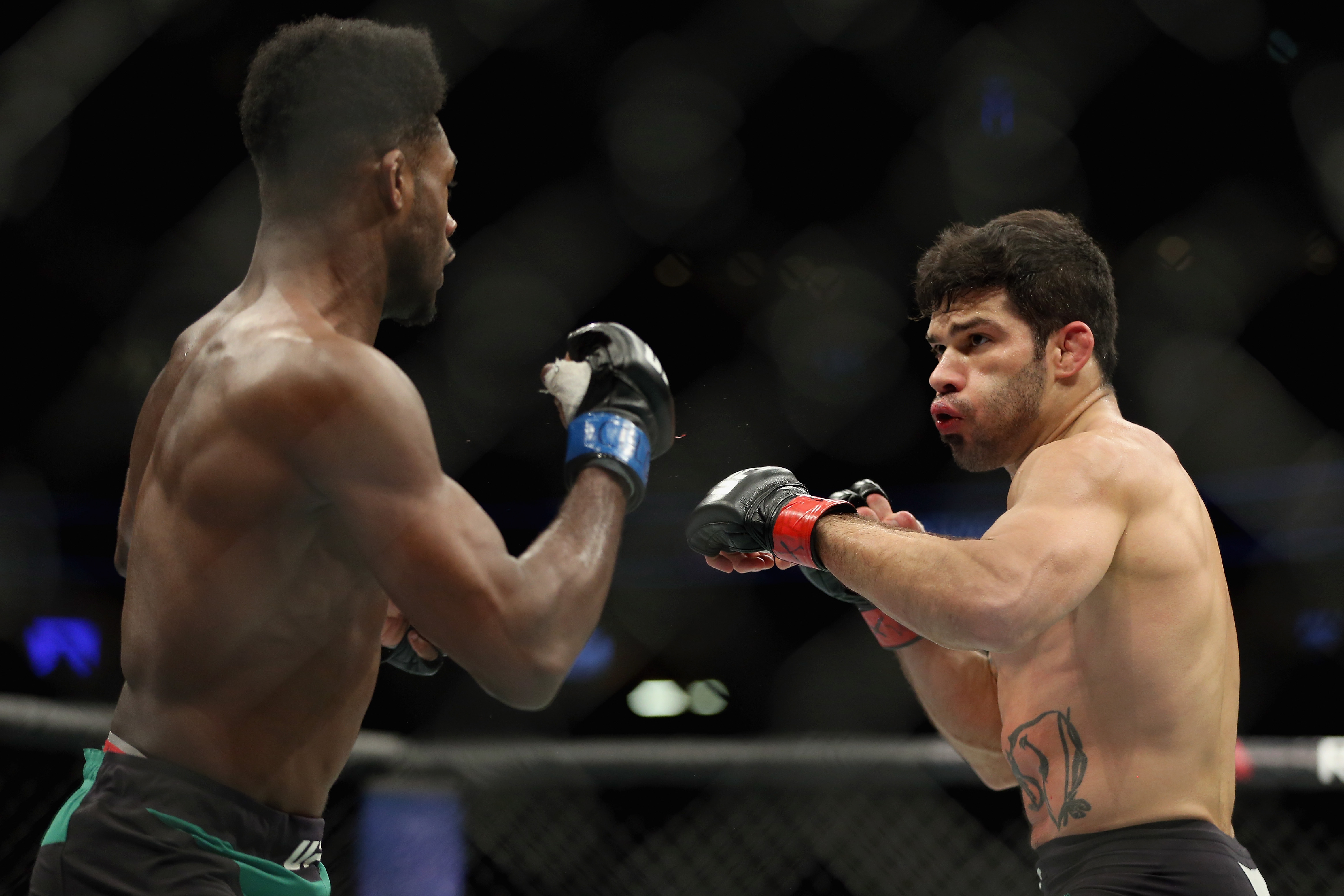 Fight Channel launches in Romania | SportBusiness Media