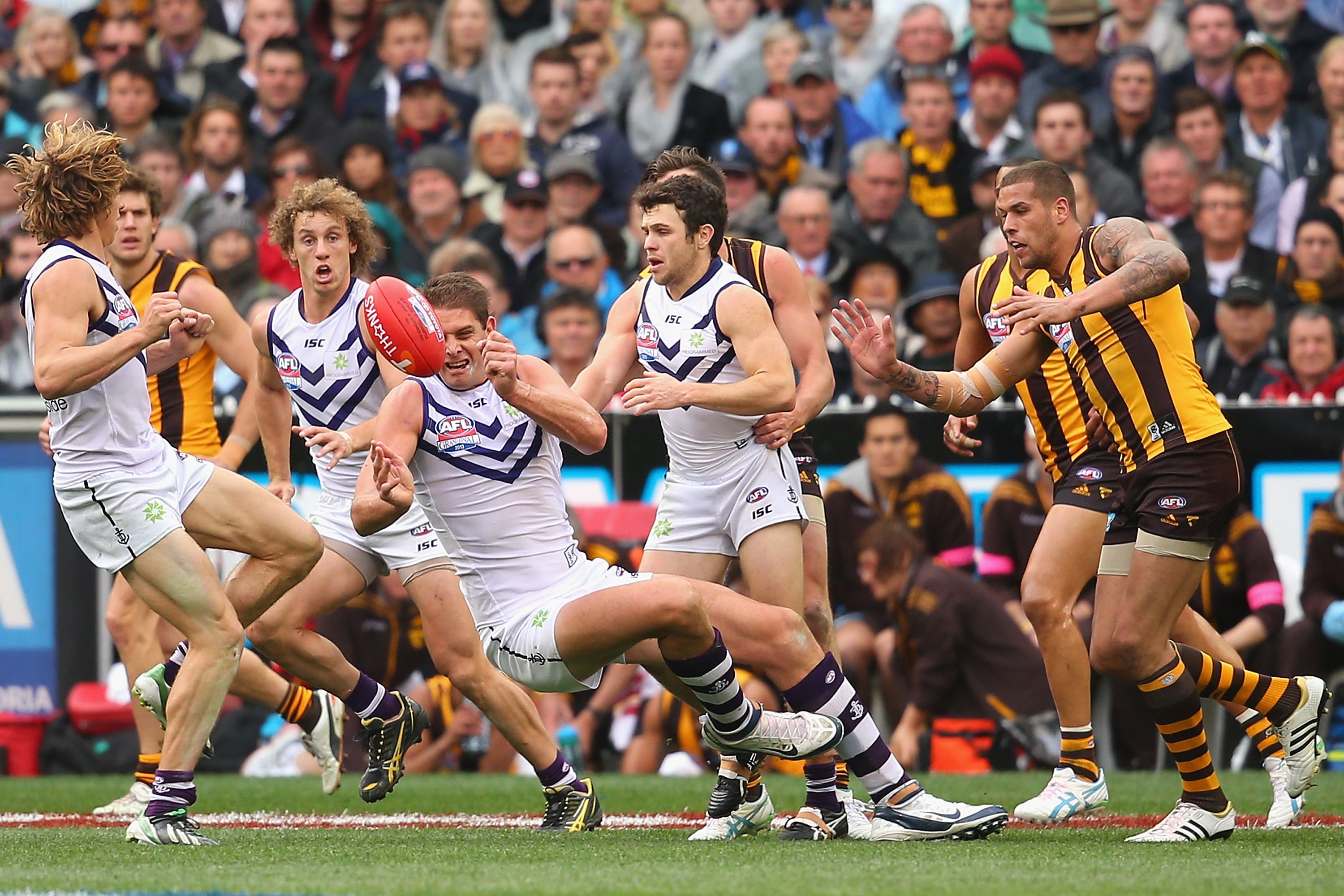 Gatorade teams with AFL | SportBusiness Sponsorship